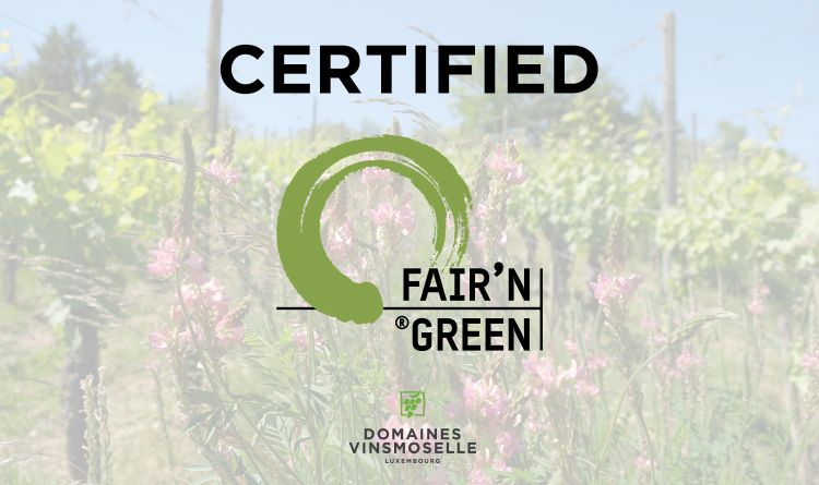 Home - Domaines Vinsmoselle